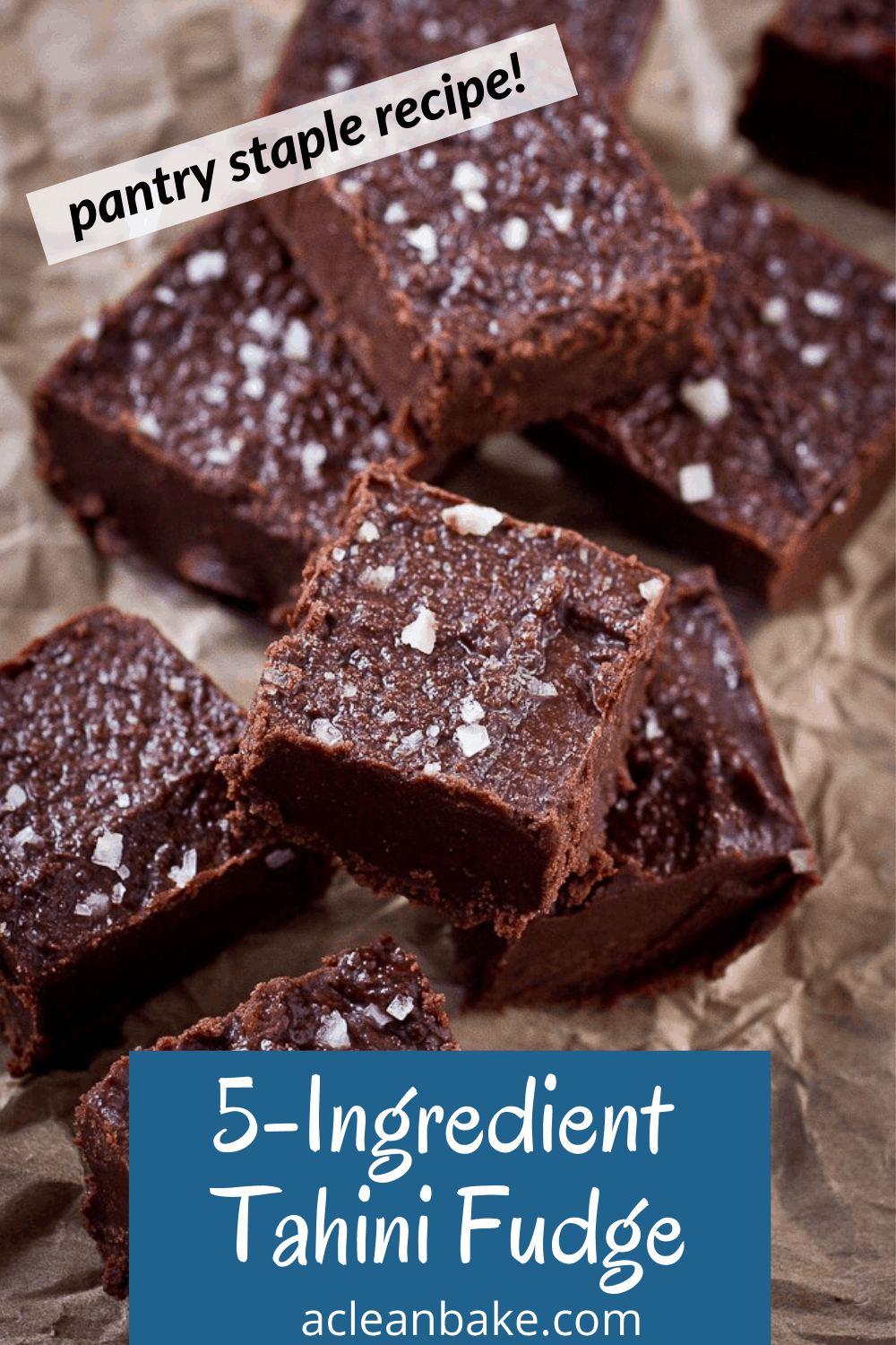 5-Ingredient Tahini Fudge (Gluten Free, Paleo, and Vegan)