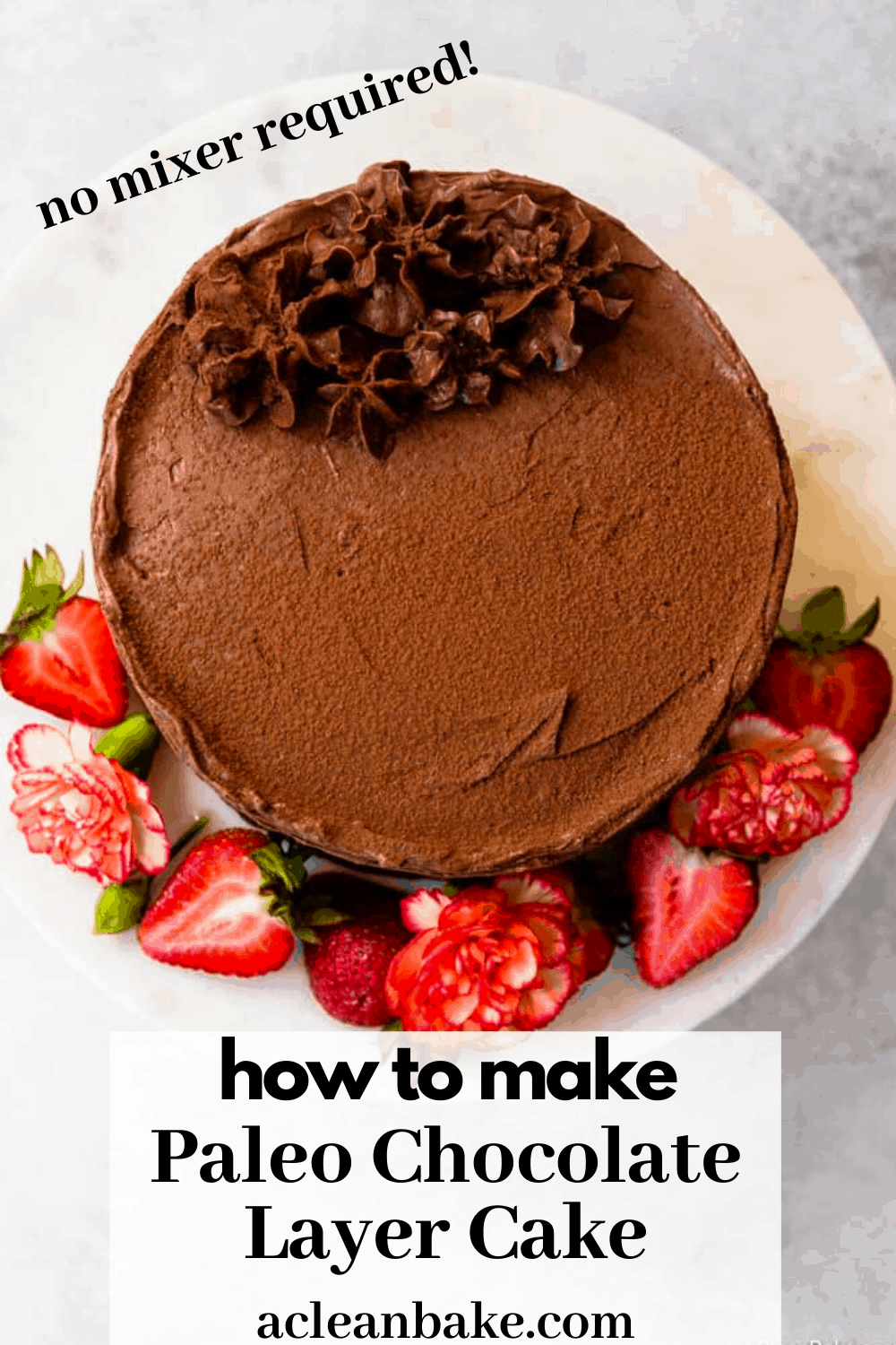 Death By Paleo Chocolate Cake (gluten & dairy free) | A Clean Bake